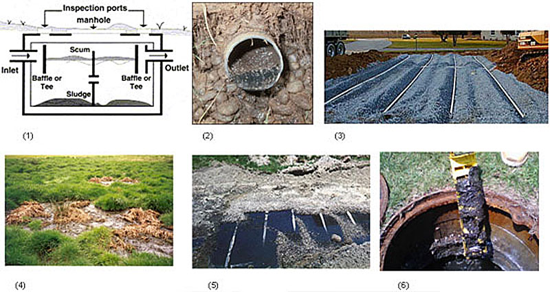 Effluent Filters for Septic Tanks – New Jersey Septic Management Group